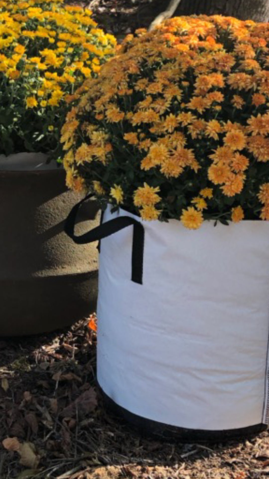 RootMaker RootTrapper® II 5-Gallon Tall w/ Handles