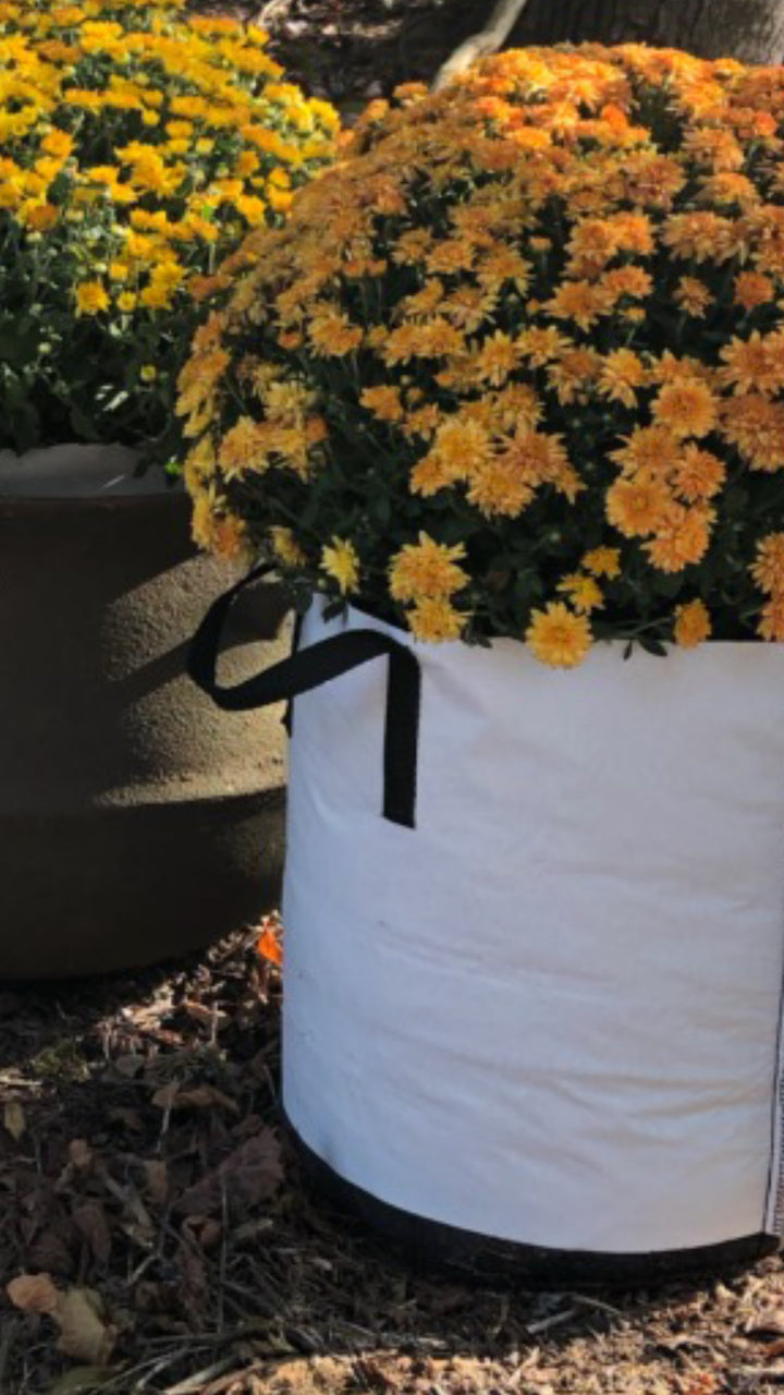 RootMaker RootTrapper® II 5-Gallon Tall w/ Handles